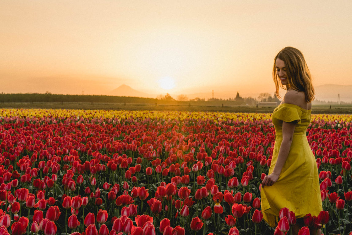 A Portland, Oregon Day Trip to Wooden Shoe Tulip Festival – Travels and ...